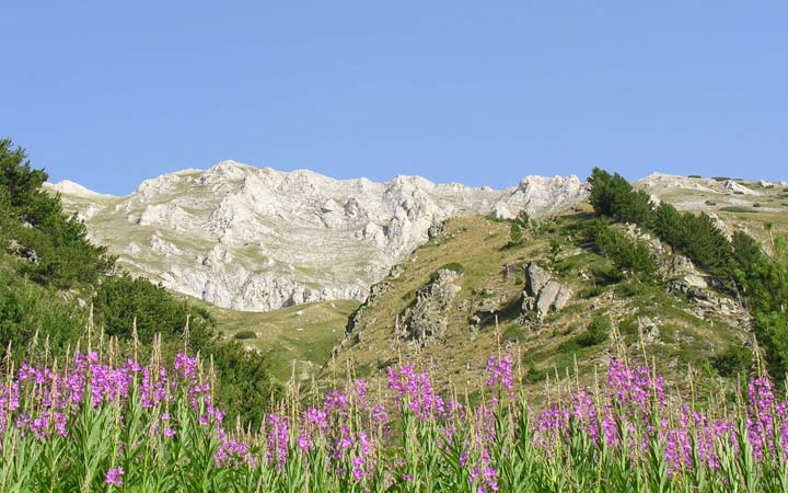 Razlog – Guide | Bulgaria Guide